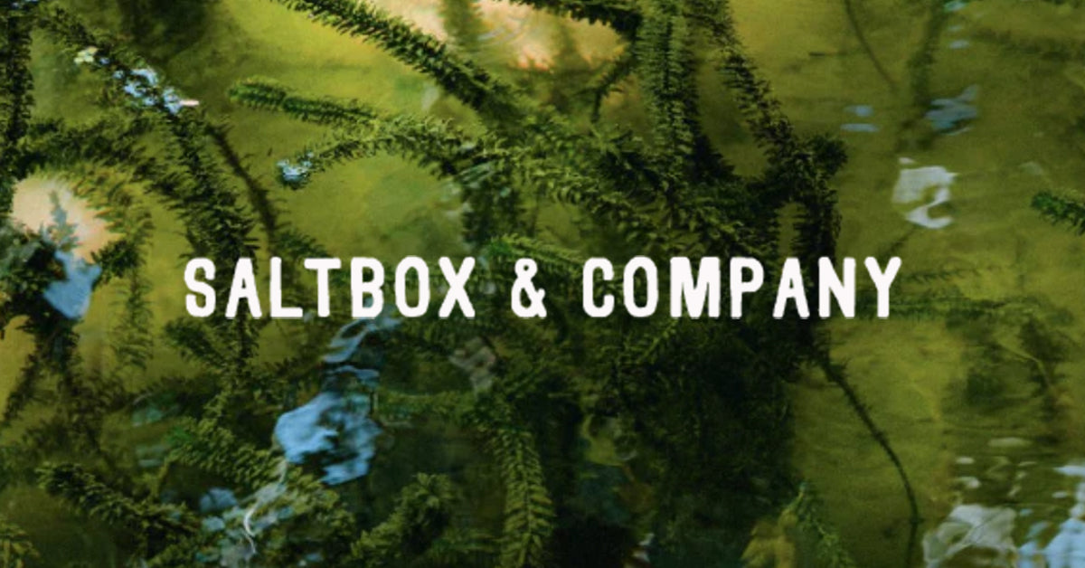 Saltbox & Company